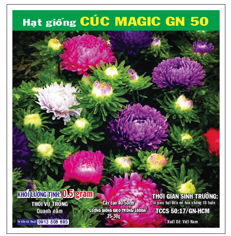 Hạt giống Hoa cúc Magic